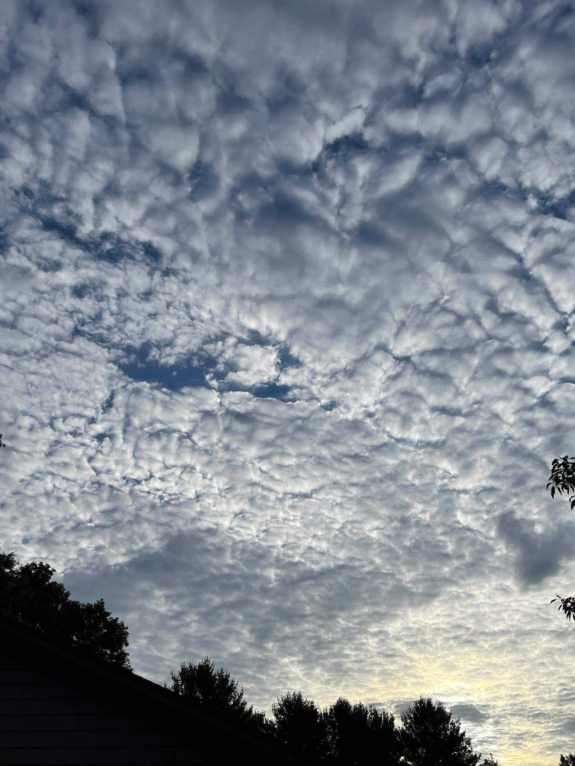 A Lesson in Non-Resistance. - LCM Connect